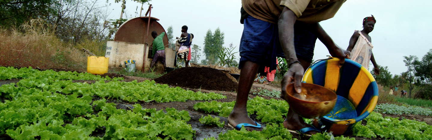 Journey Through Rural Life Top Ten Documentaries Watch Online | GuideDoc