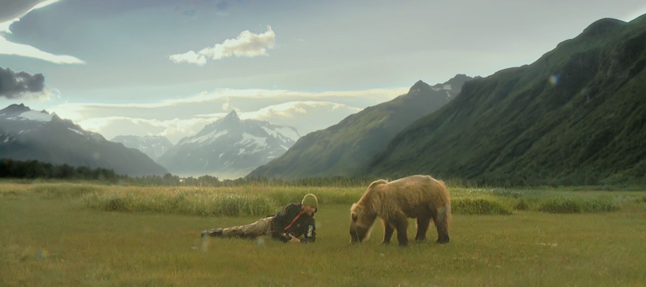 Animal Protagonists Who Steal Spotlight: 10 Documentaries Wildlife ...