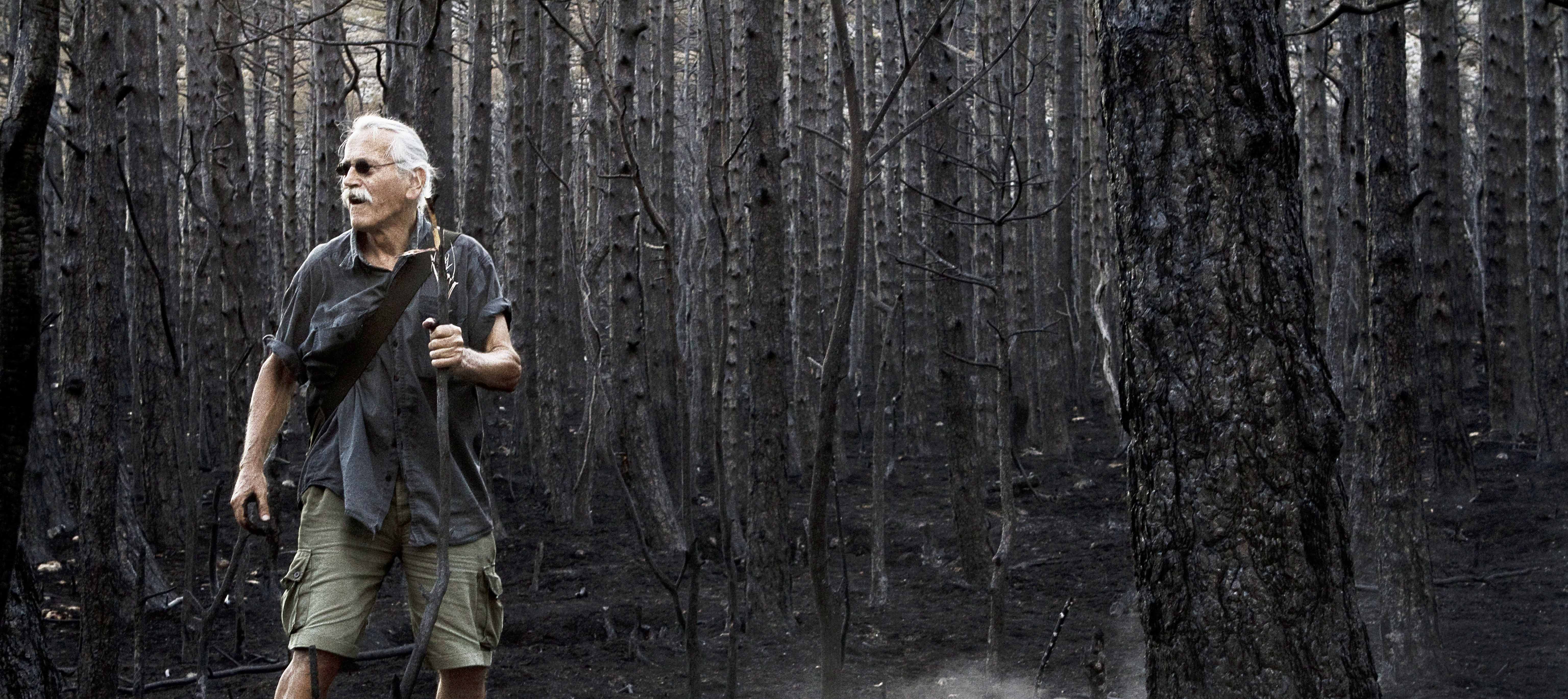 Three Curious Art Documentaries To Watch Online | GuideDoc