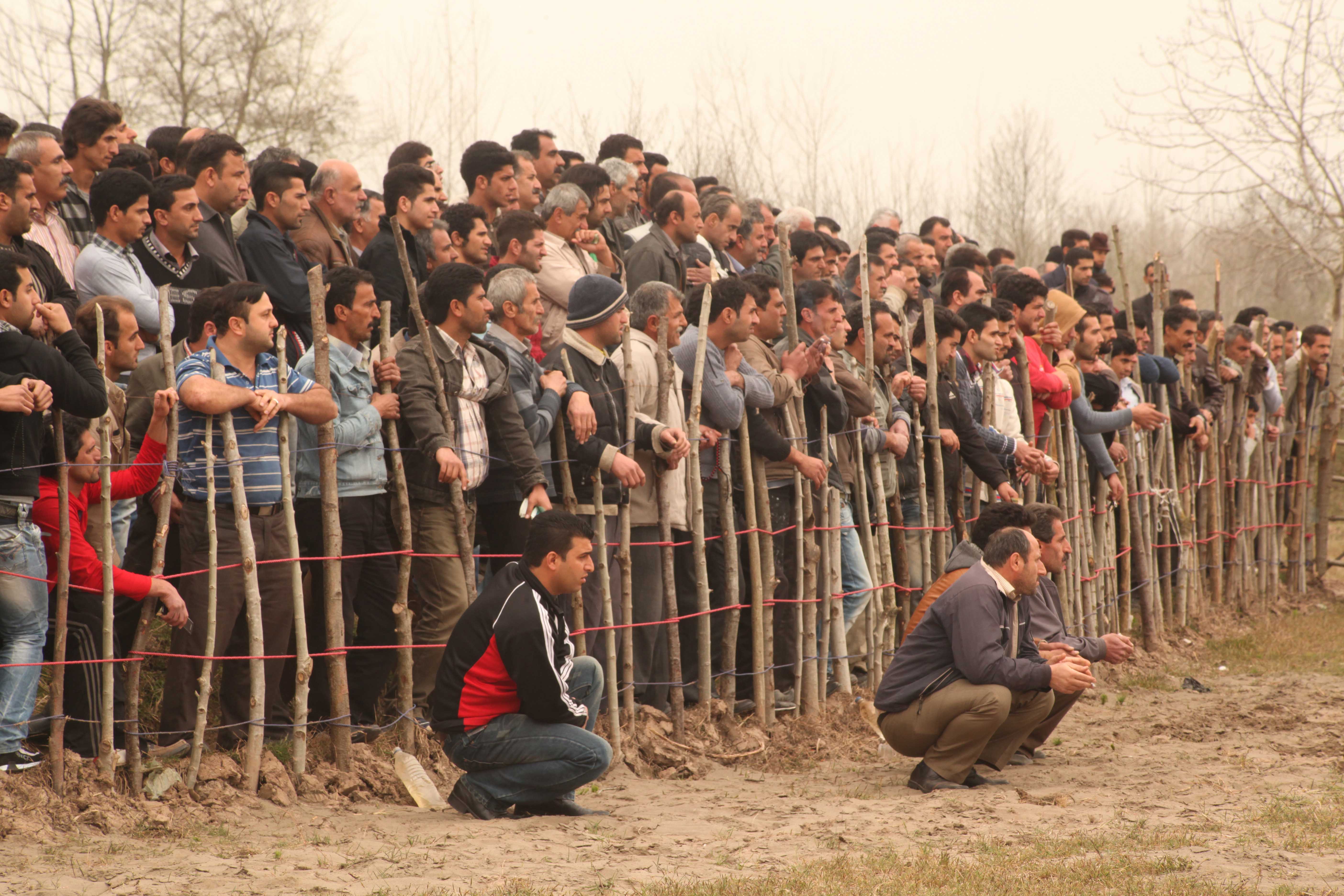 Three Inspiring Documentaries About Rural Life | GuideDoc