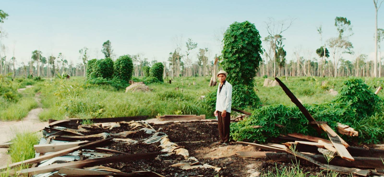 Three Award-Winning Environmental Documentaries You Must Watch | GuideDoc