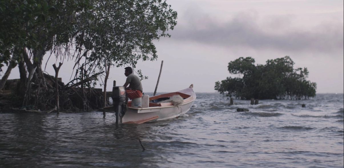 Fragments Homeland: Five Short Films Venezuelan Diaspora You Can’T ...