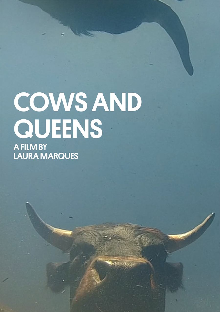 Cows and Queens - Documentary Film | Watch Online