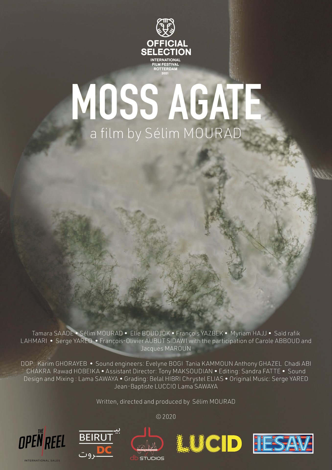 Agate mousse - Documentary Film | Watch Online