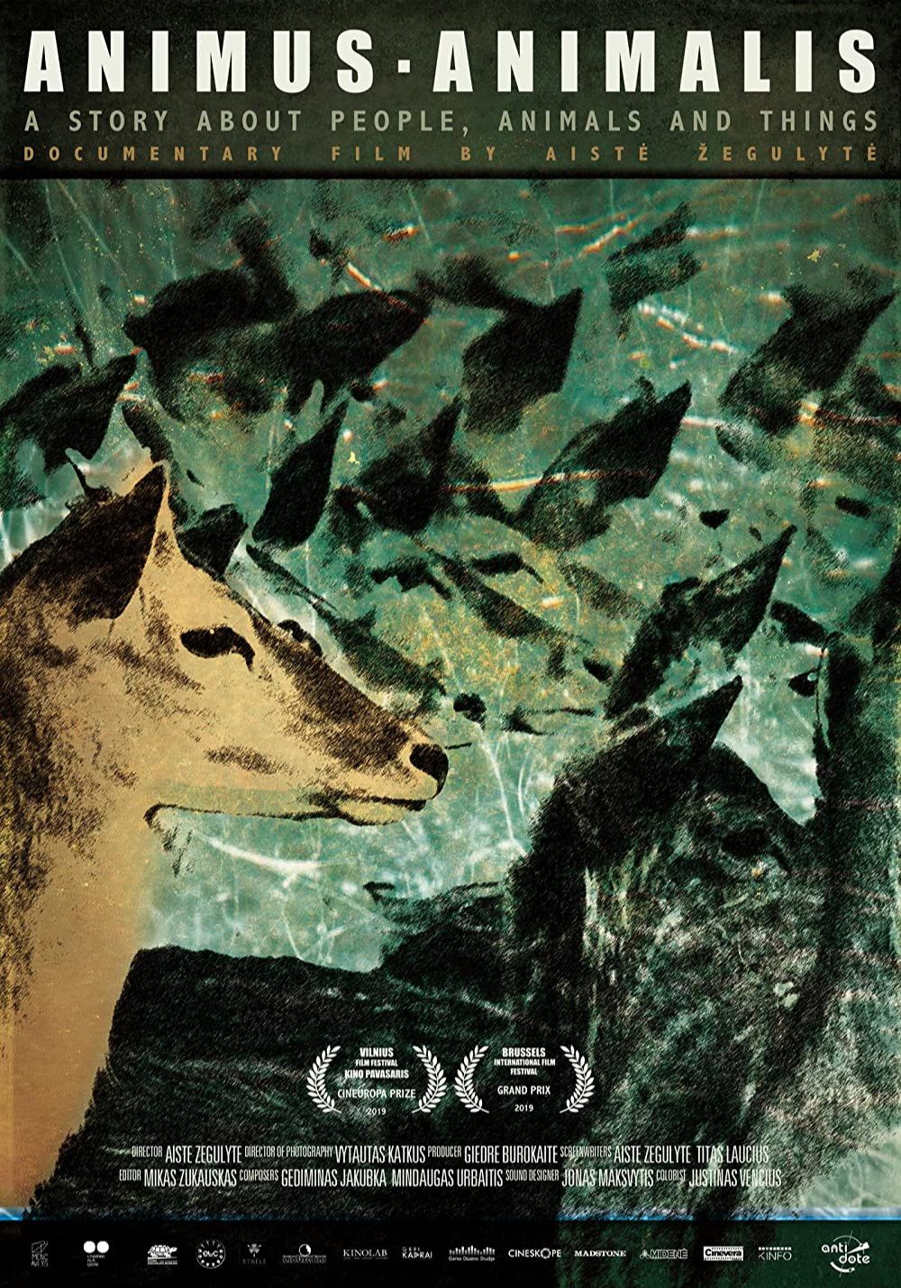 Animus Animali - Documentary Film | Watch Online