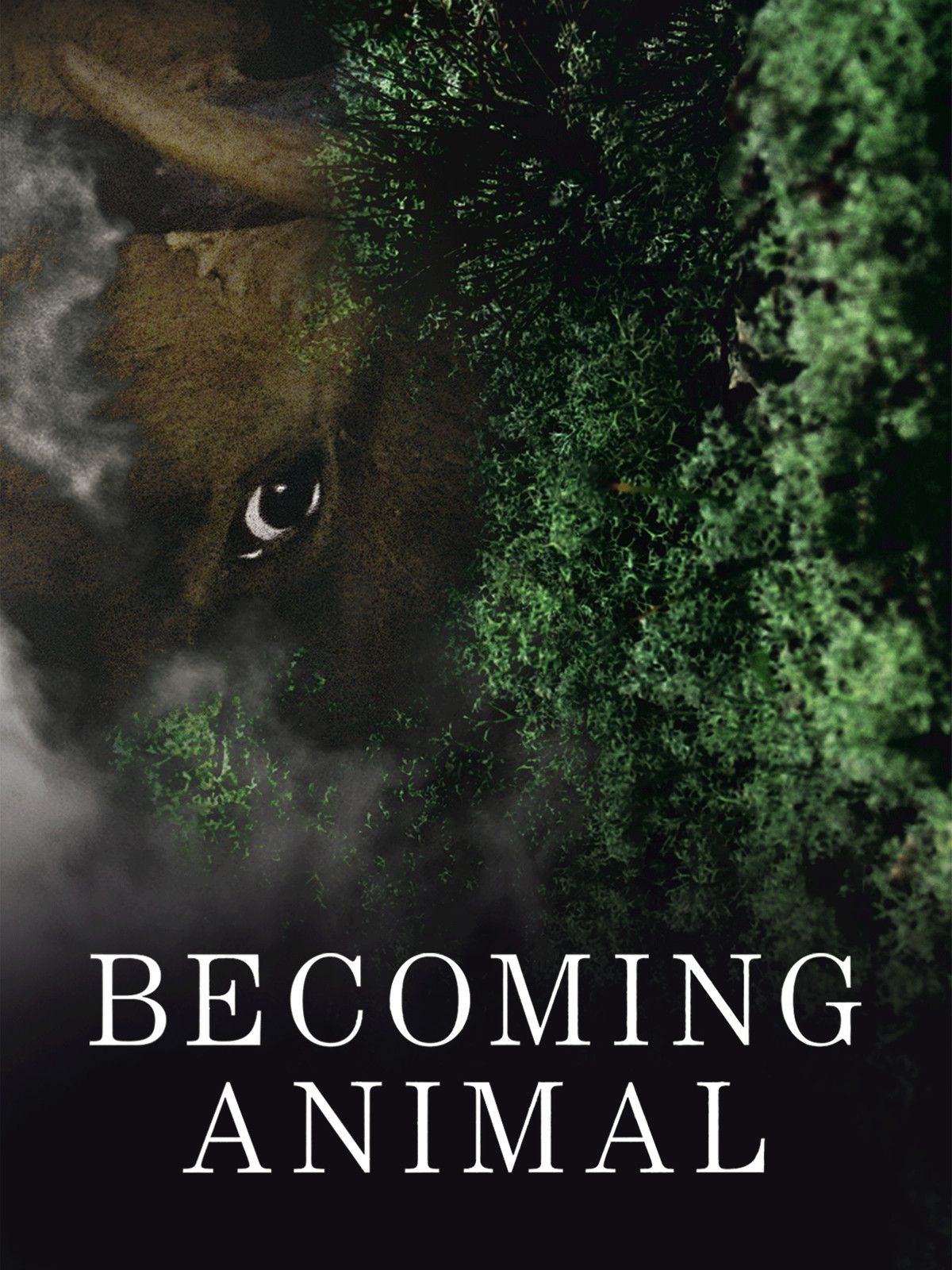 Becoming Animal - Documentary Film | Watch Online