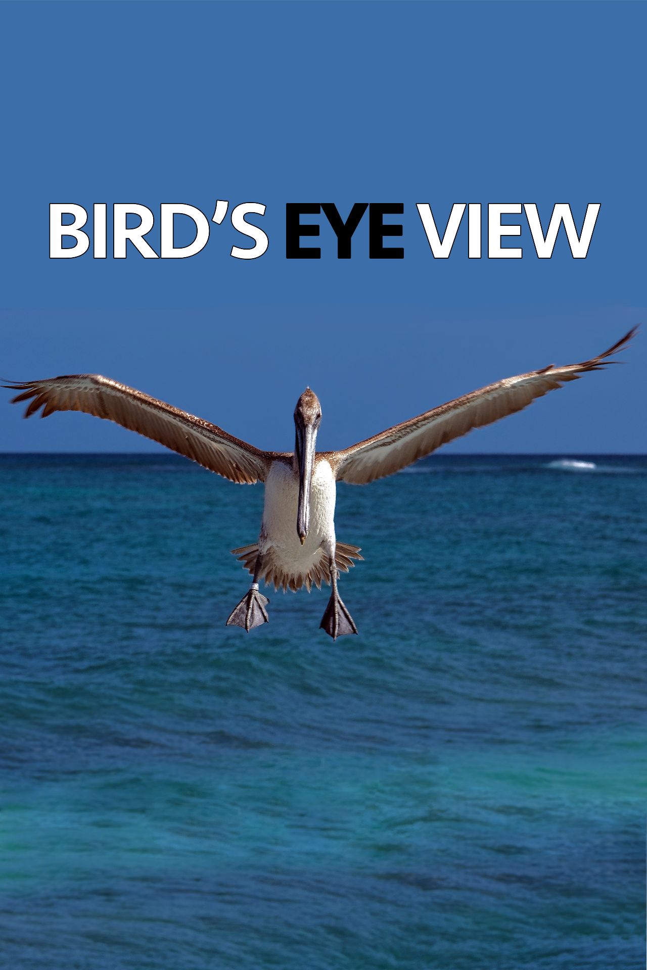 Bird's Eye View - Documentary Film | Watch Online