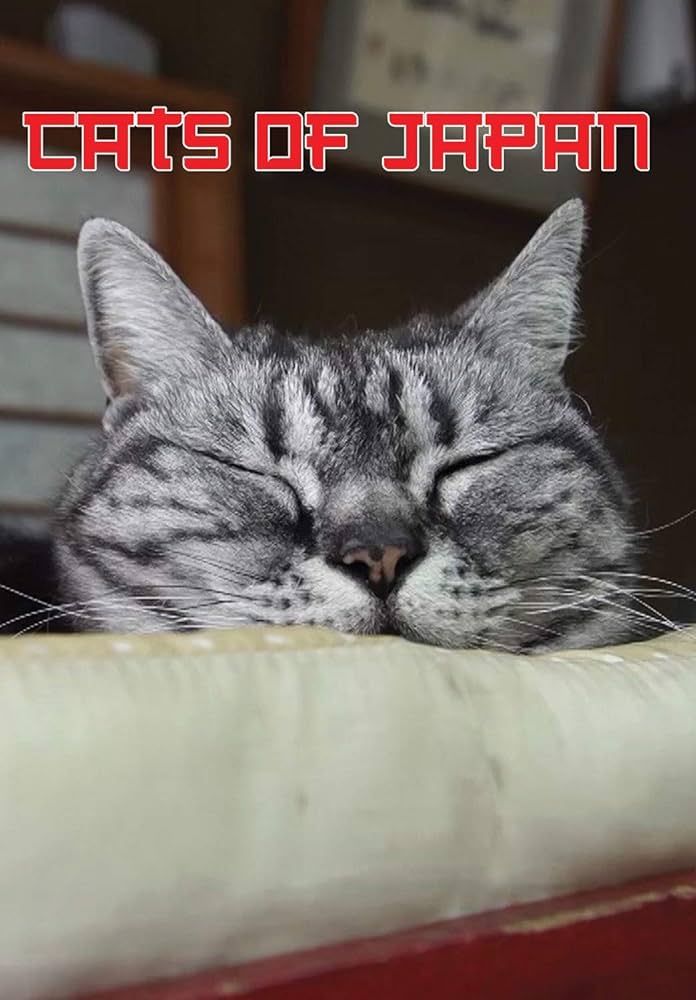 Cats in Japan: "Kanazawa 3" - Documentary Film | Watch