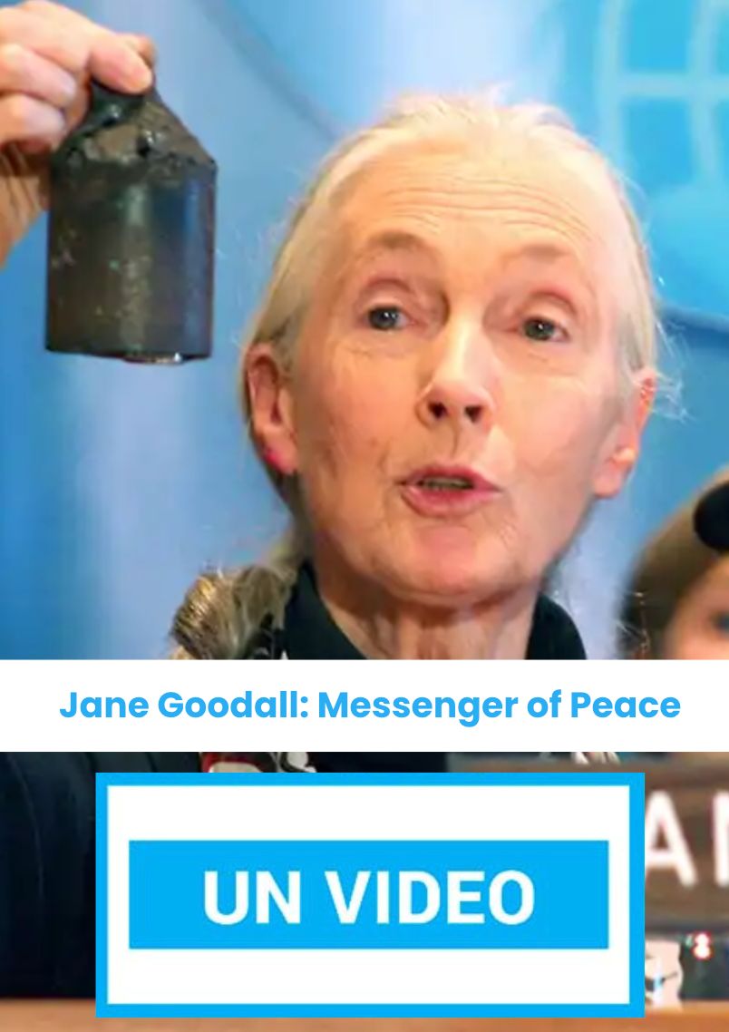 Jane Goodall: Messenger of Peace - Documentary Watch
