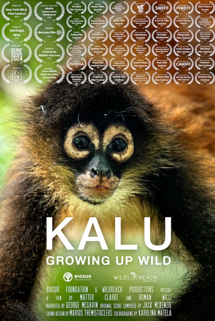 Kalu: Growing Up Wild - Documentary Film | Watch Online