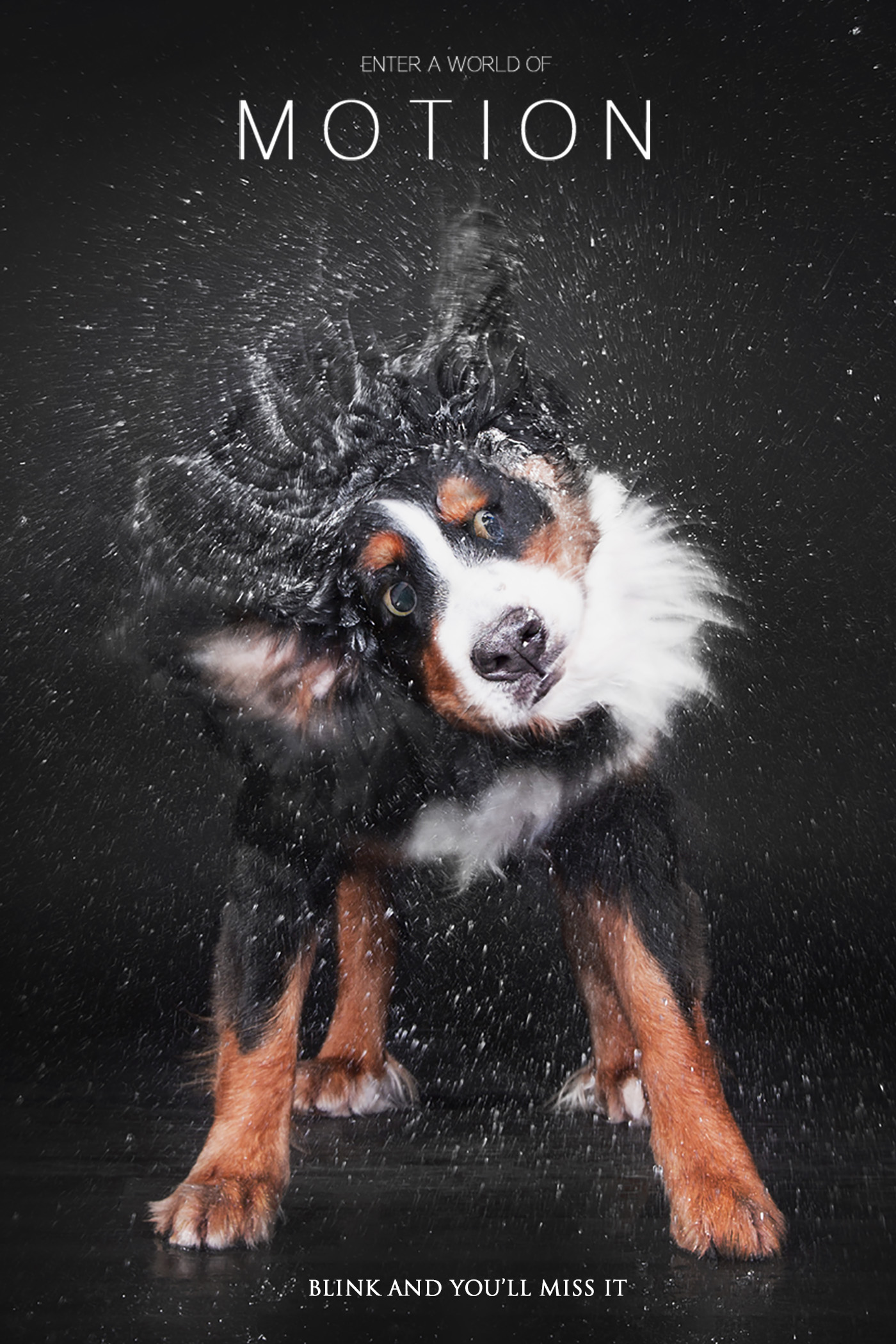 Motion - Documentary Film | Watch Online | GuideDoc