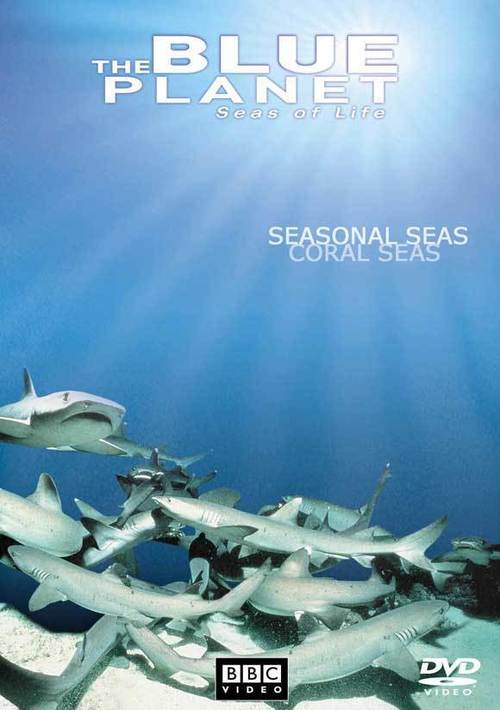 The Blue Planet - Seasonal Seas - Documentary Watch