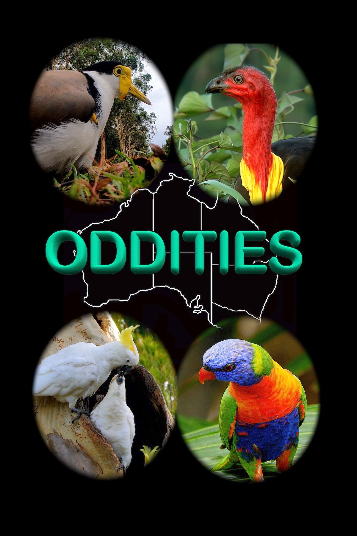 Oddities - Documentary Film | Watch Online | GuideDoc