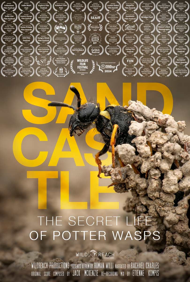 Sandcastle - Documentary Film | Watch Online