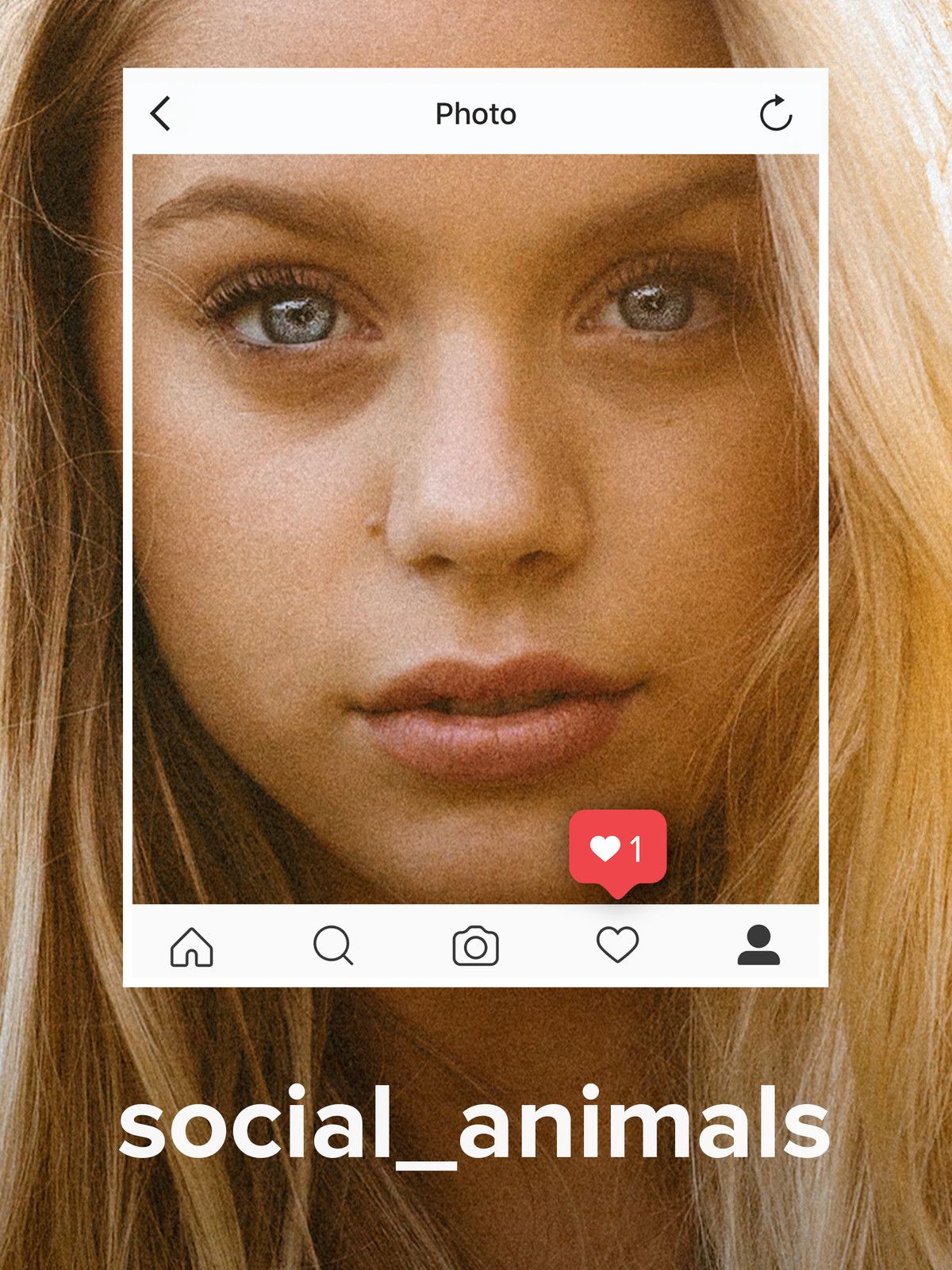 Social Animals - Documentary Film | Watch Online