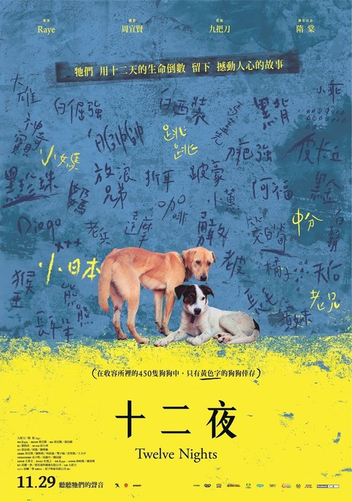 Twelve Nights - Documentary Film | Watch Online