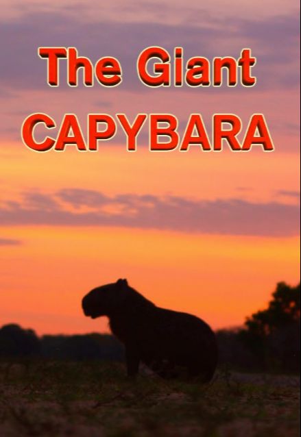 The Giant Capybara - Documentary Film | Watch Online