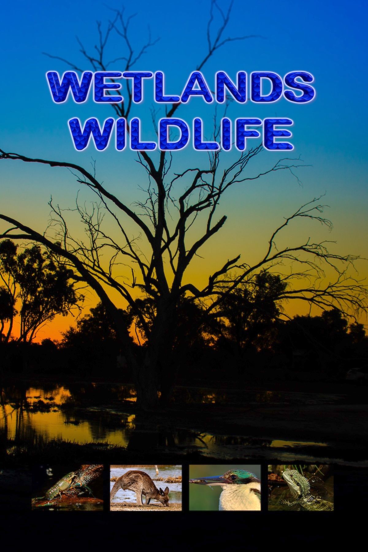 Wetlands Wildlife - Documentary Film | Watch Online
